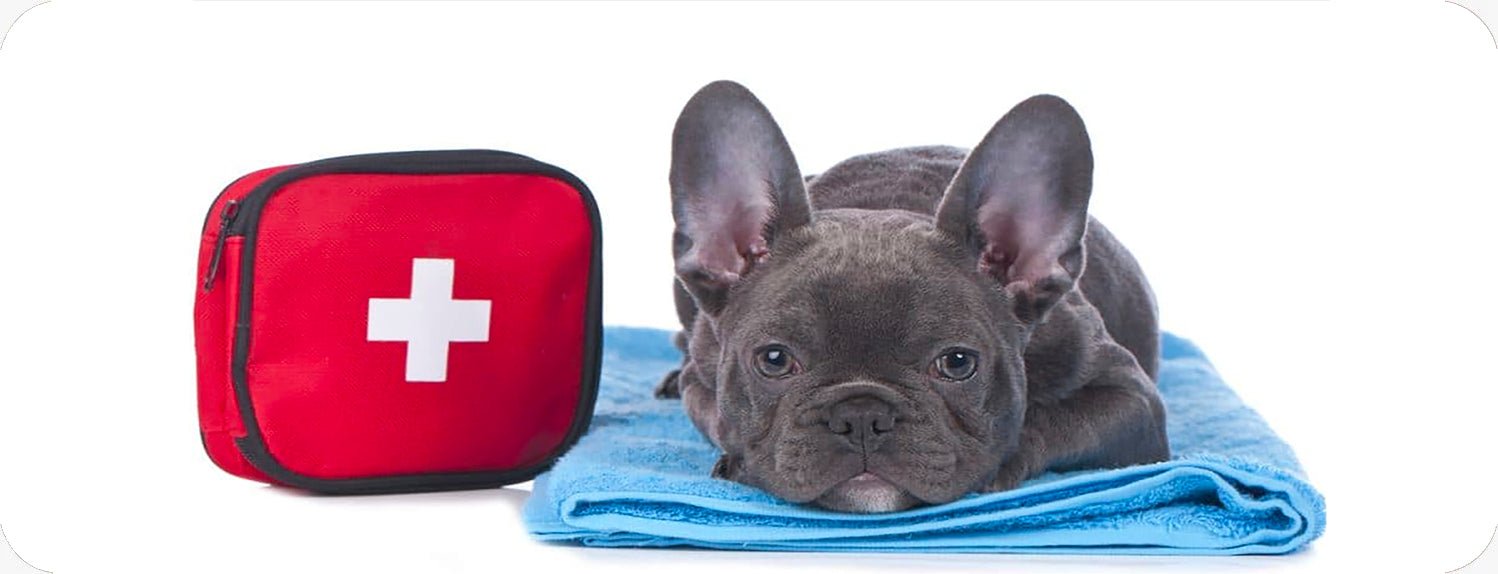 Shop Animal Med Kits at RestockYourKit.com | RestockYourKit.com