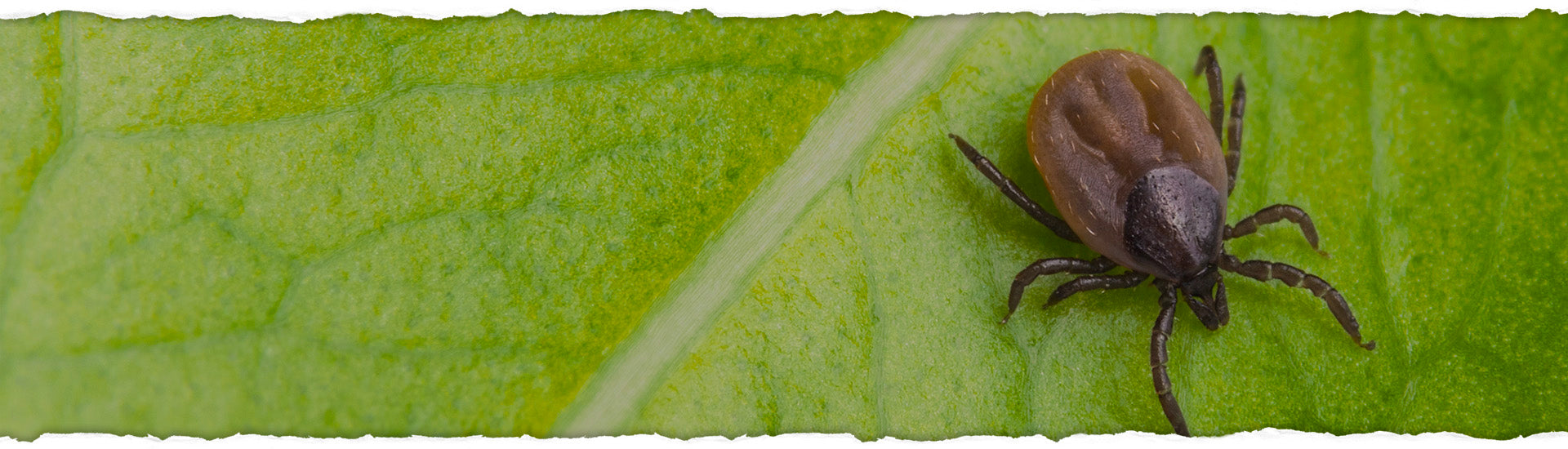 RestockYourKit.com | RestockYourKit.com